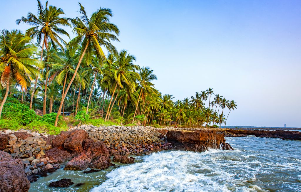 Buy an Apartment in Calicut to Live a Peaceful Life